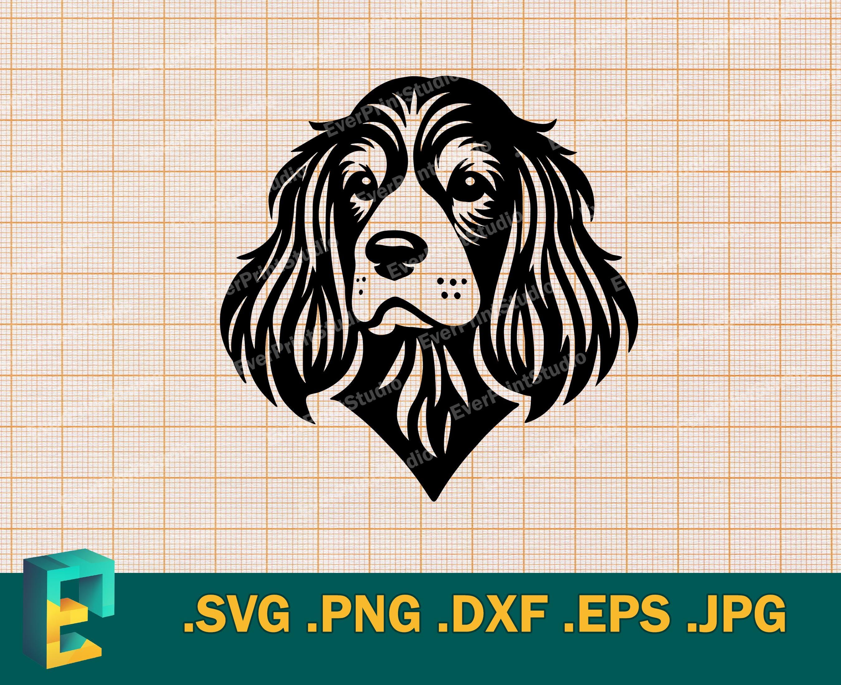 American Cocker Spaniel SVG - Cricut, Silhouette | Vector Cute Cocker ...