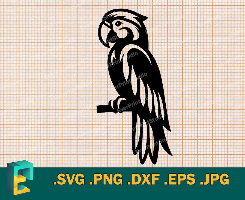 Parrot SVG - Cricut, Silhouette | Vector Tropical Parrot Bird SVG Cut ...