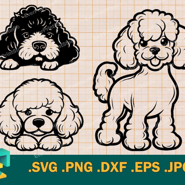 Poodle Svg - Etsy