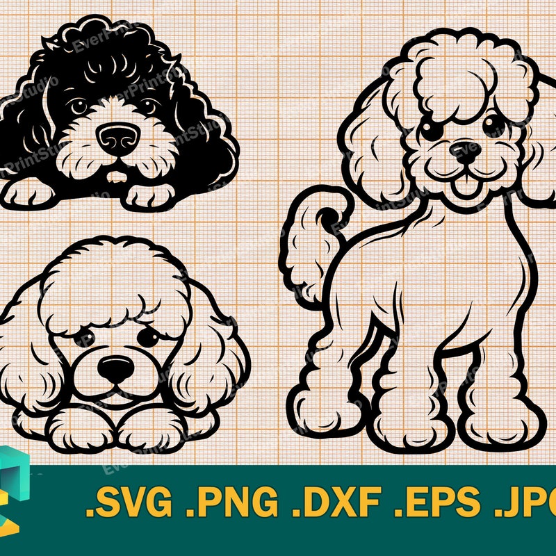 Poodle Svg - Etsy