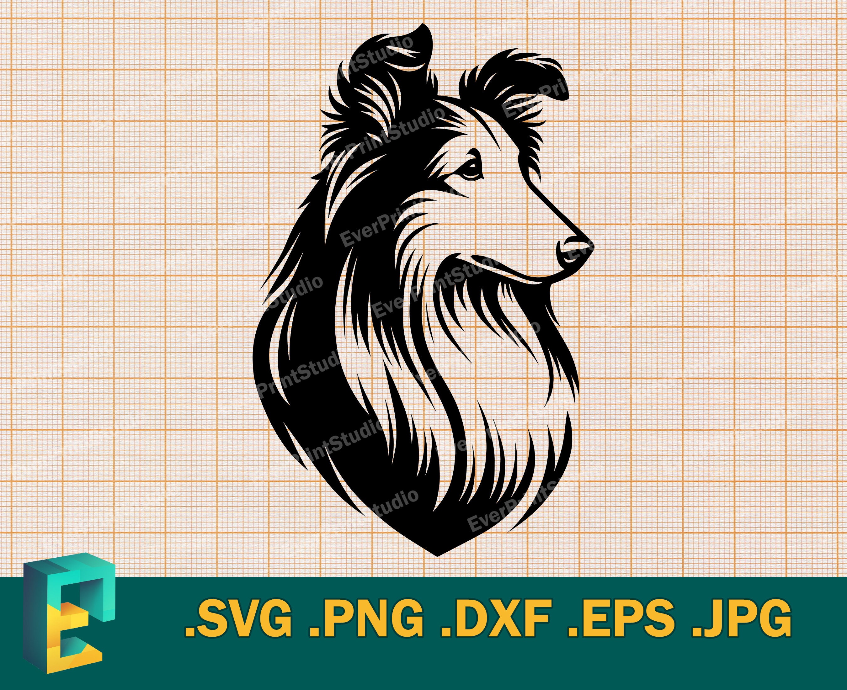 Collie SVG - Cricut, Silhouette | Vector Collie Dog Cut File | Download ...