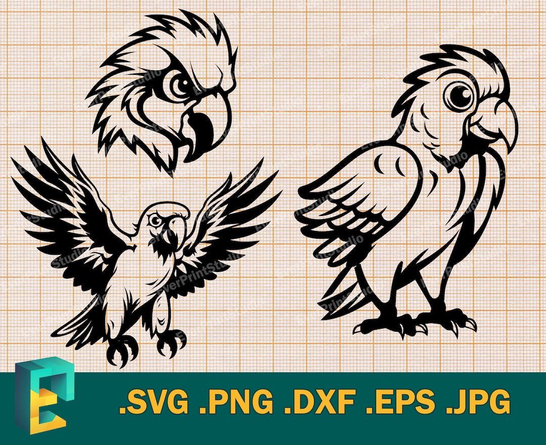 Parrot SVG Bundle - Cricut, Silhouette | Vector Cute Parrot Cut File ...