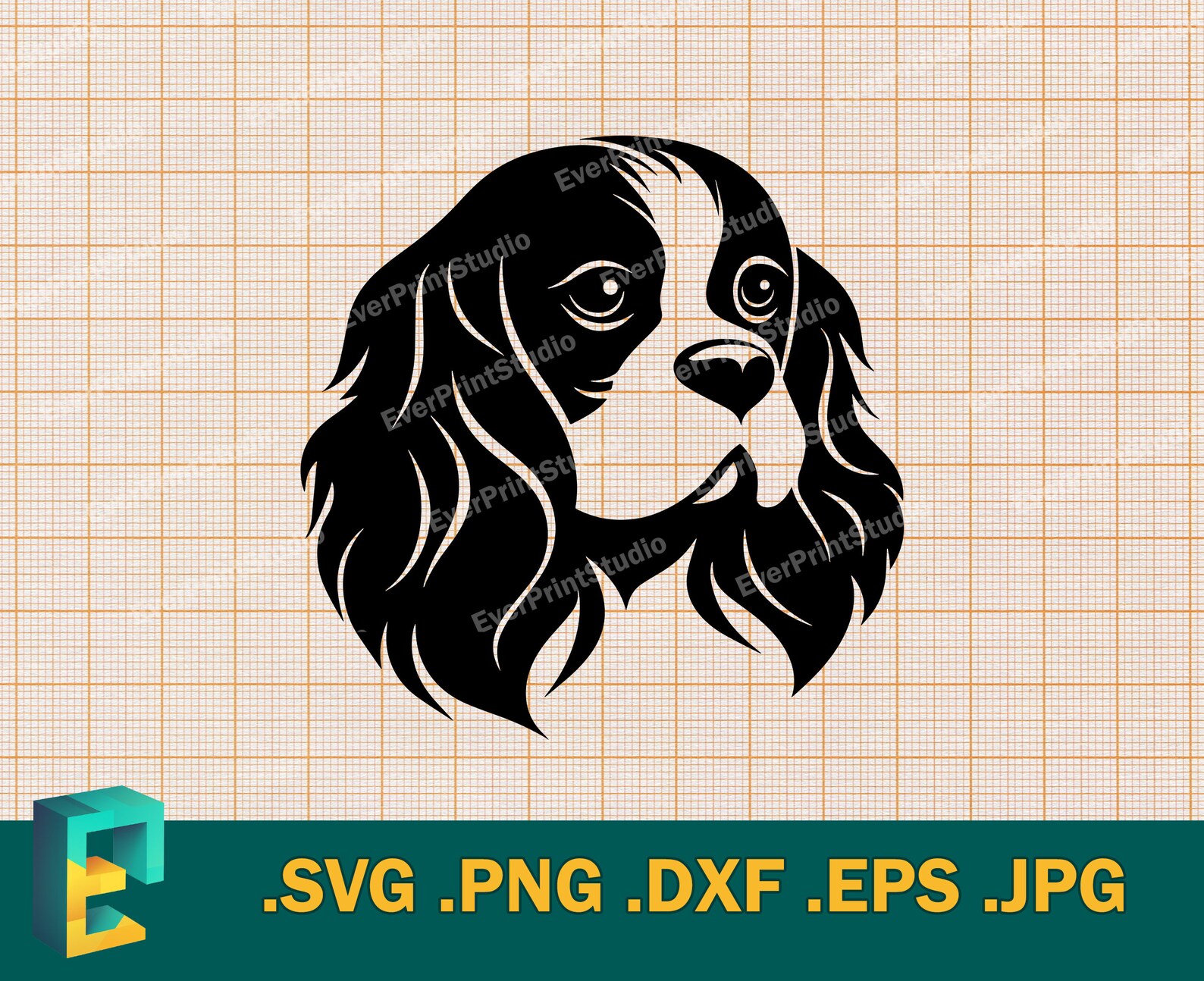 Cavalier King Charles Spaniel SVG - Cricut, Silhouette | Vector Cute ...