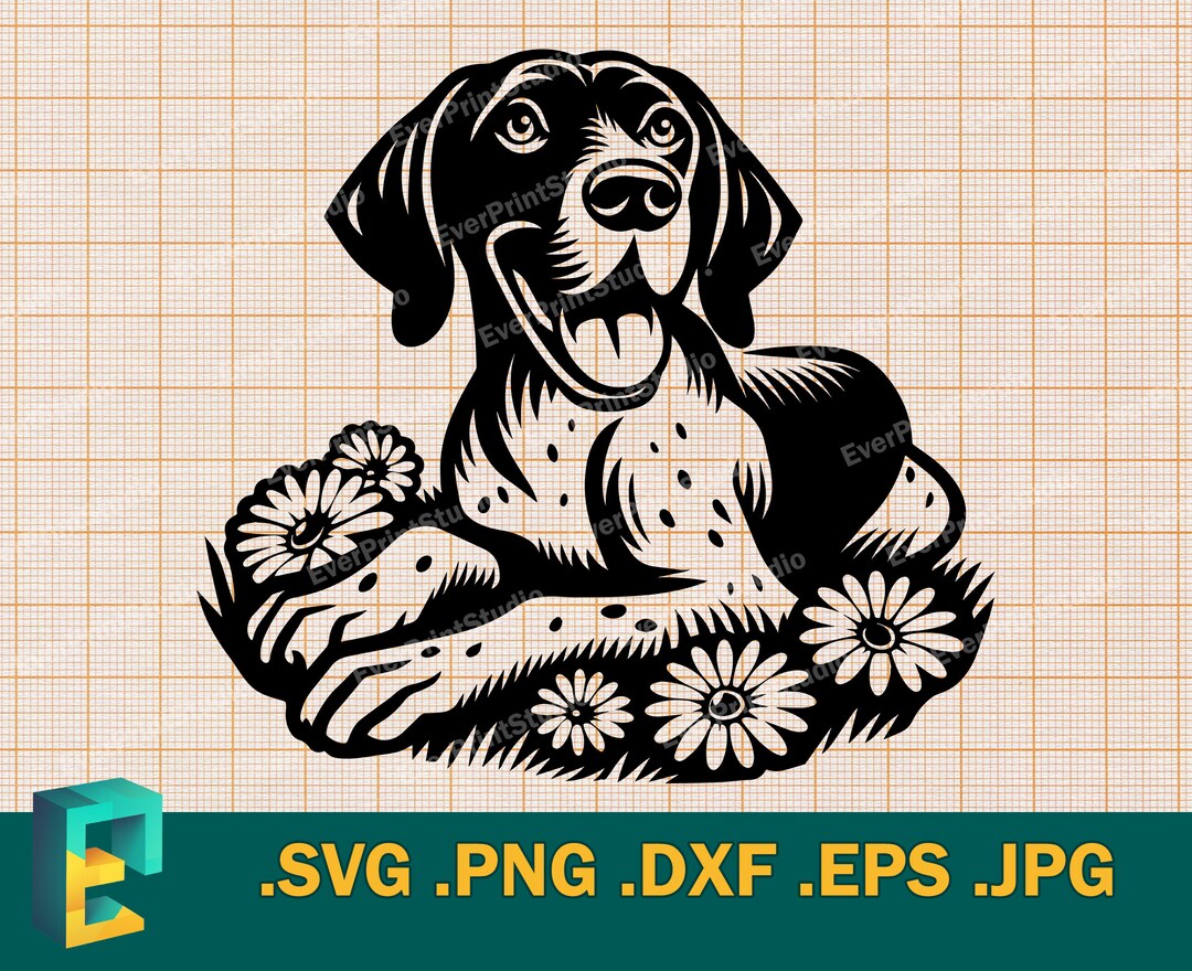 German Shorthaired Pointer SVG - Cricut, Silhouette | Vector German ...