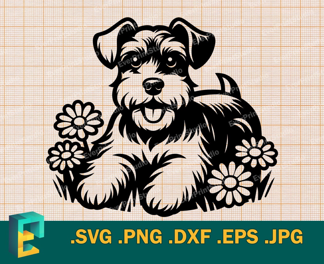 Cute Miniature Schnauzer SVG - Cut File for Cricut, Silhouette | Vector ...