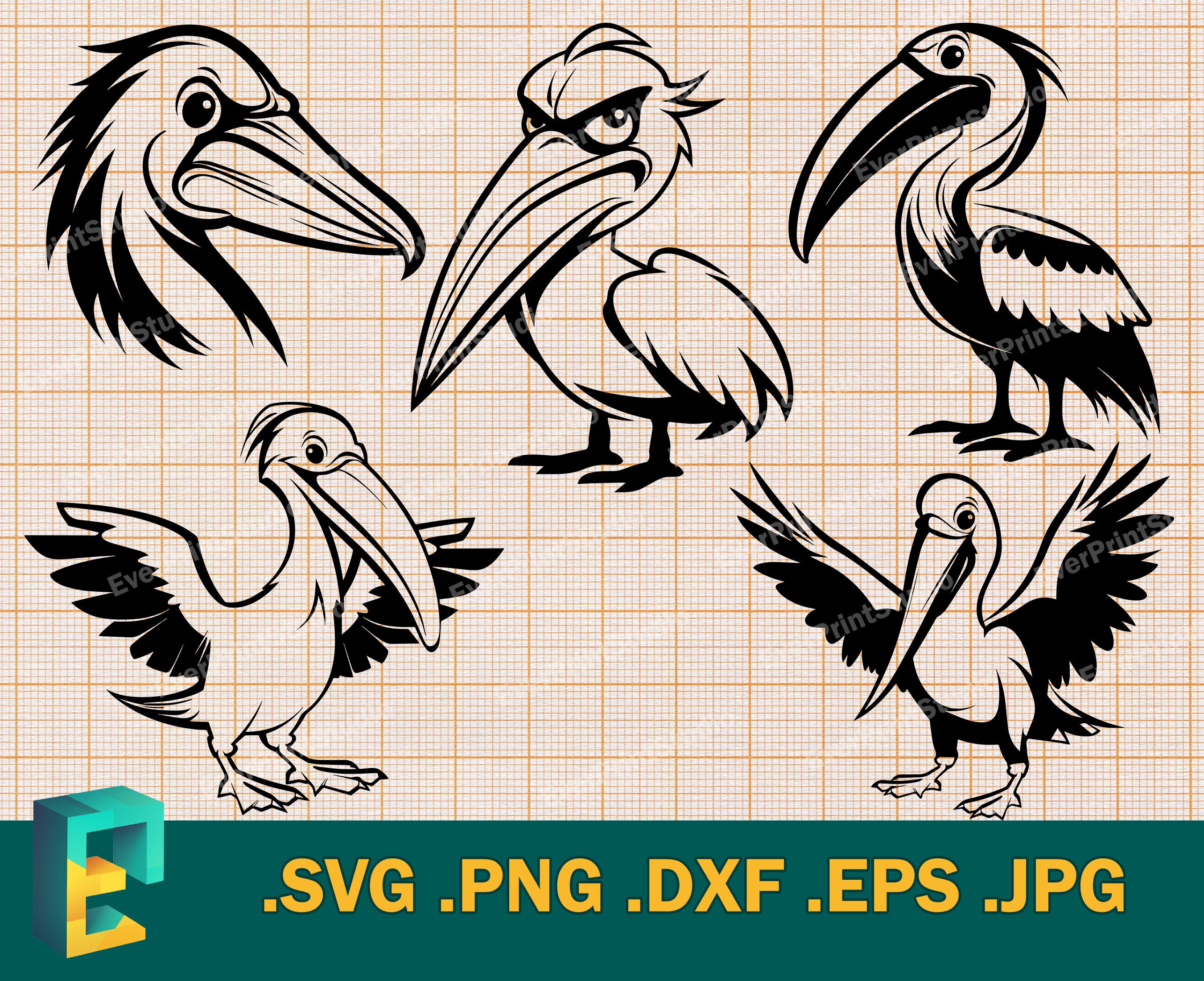 Pelican SVG Bundle Cricut & Silhouette Cute Pelican Svg - Etsy
