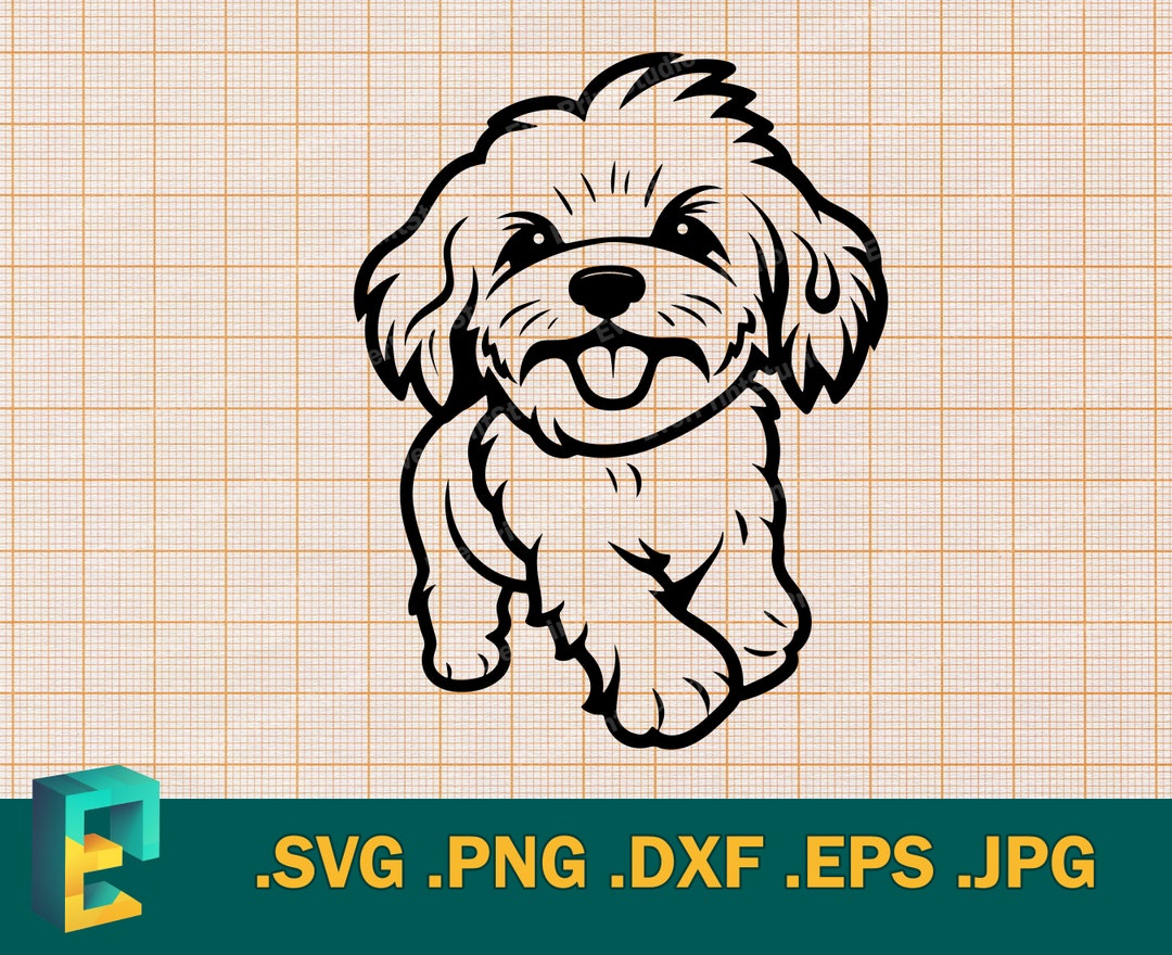 Bichon SVG - Cricut, Silhouette | Vector Cute Bichon Frise SVG Cut File ...