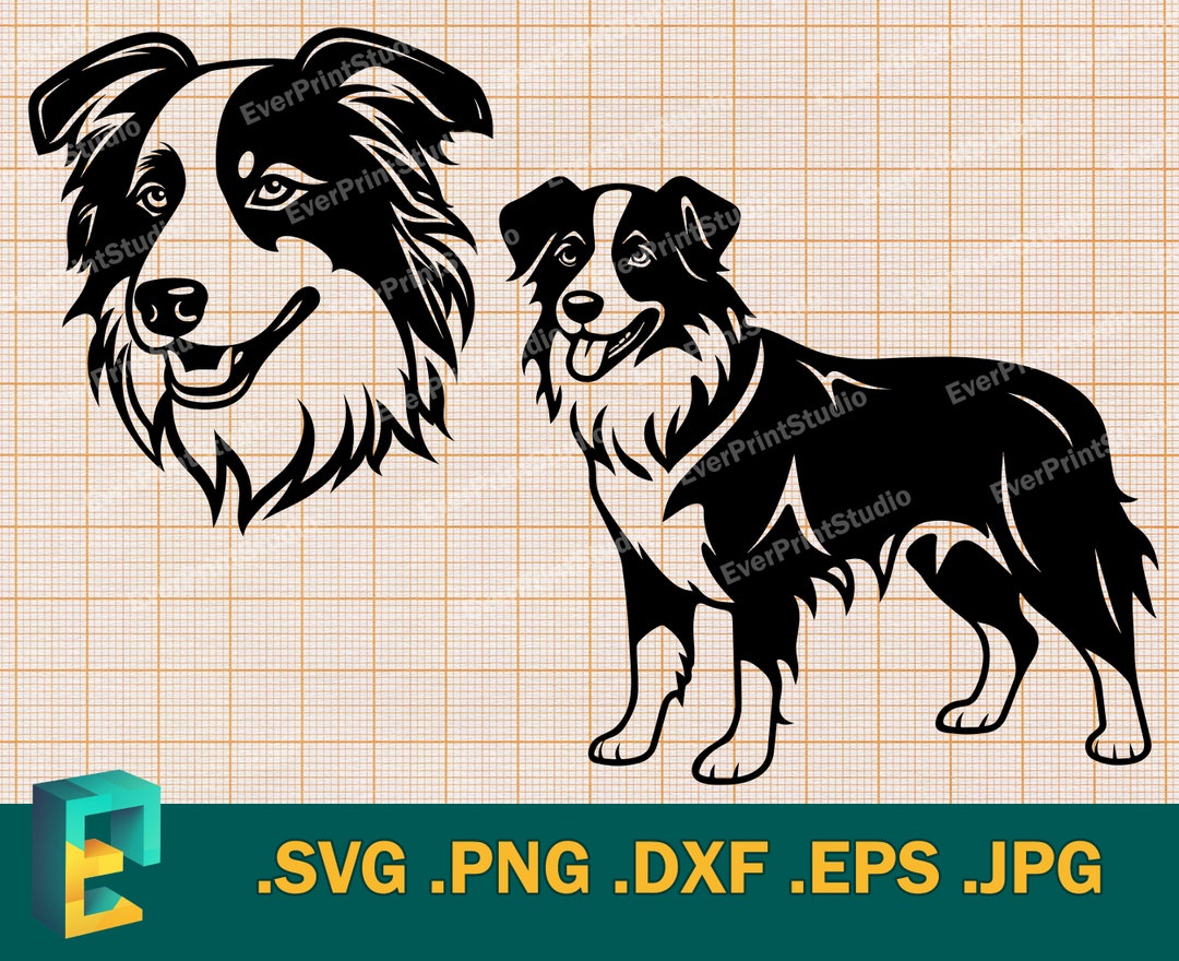 Australian Shepherd SVG - Cricut, Silhouette | Mini Aussie Dog Cut File ...