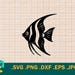 Angelfish SVG - Cricut, Silhouette | Vector Angelfish SVG Cut File ...