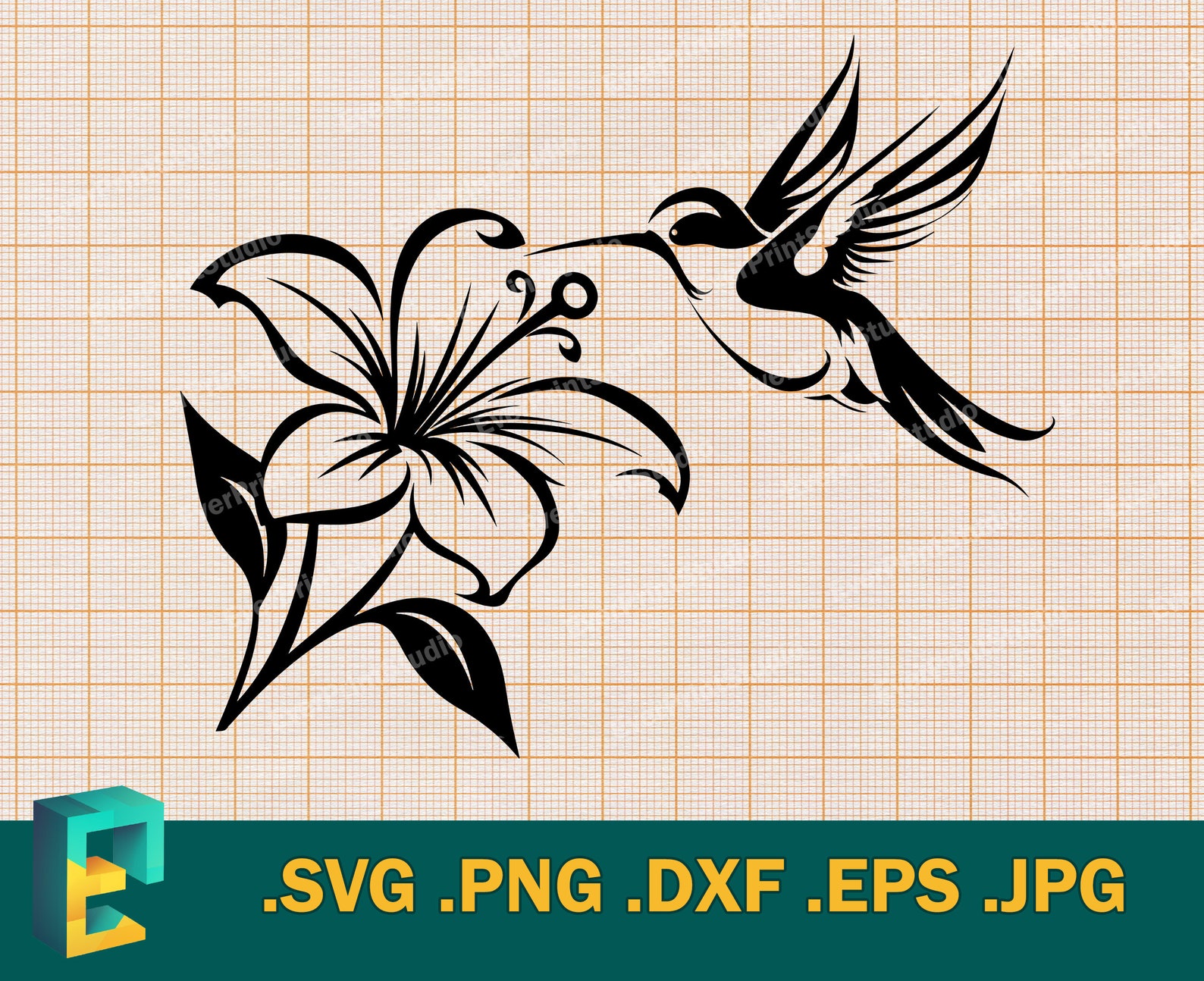 Hummingbird Svg Cricut Silhouette Vector Hummingbird Cut - Etsy