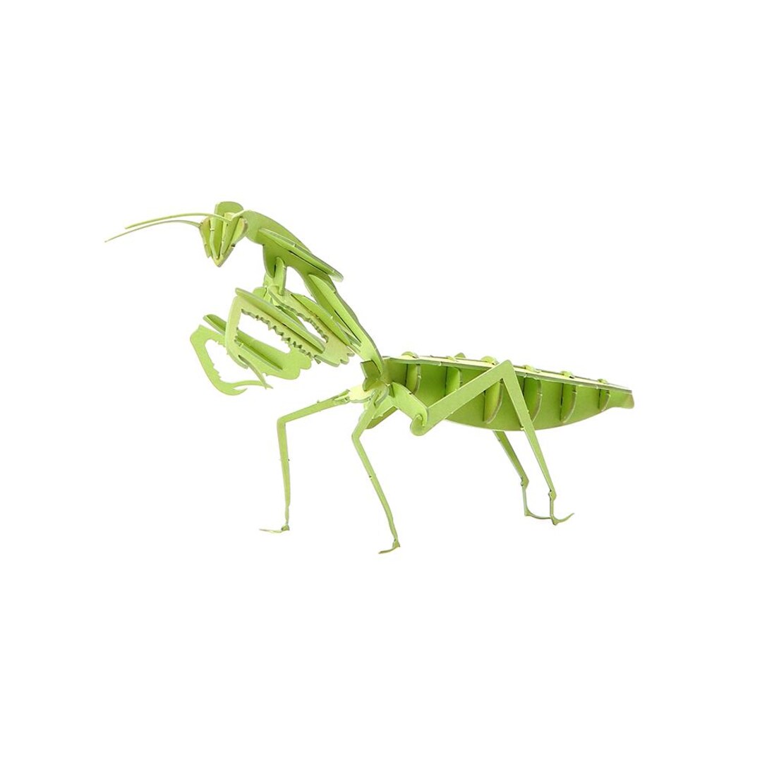 3D Paper Craft Jigsaw of a Praying Mantis - Etsy