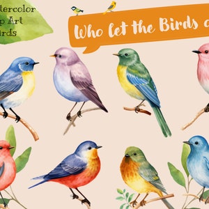 Watercolor Bird Clipart Set - 12 Hand-painted Bird Species, High ...