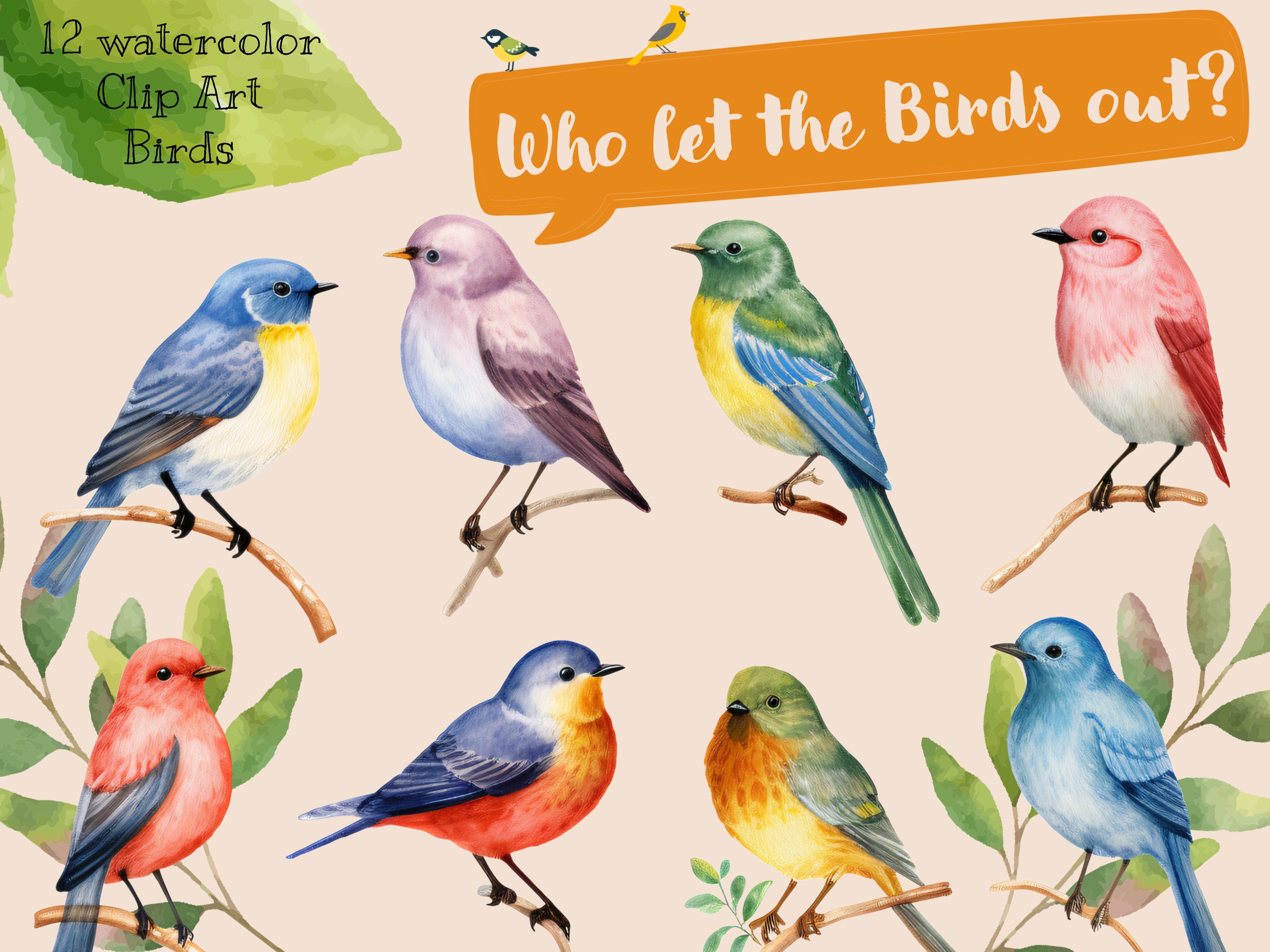 Watercolor Bird Clipart Set - 12 Hand-painted Bird Species, High ...