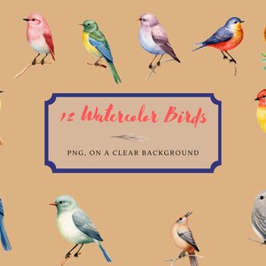 Watercolor Bird Clipart Set - 12 Hand-painted Bird Species, High ...