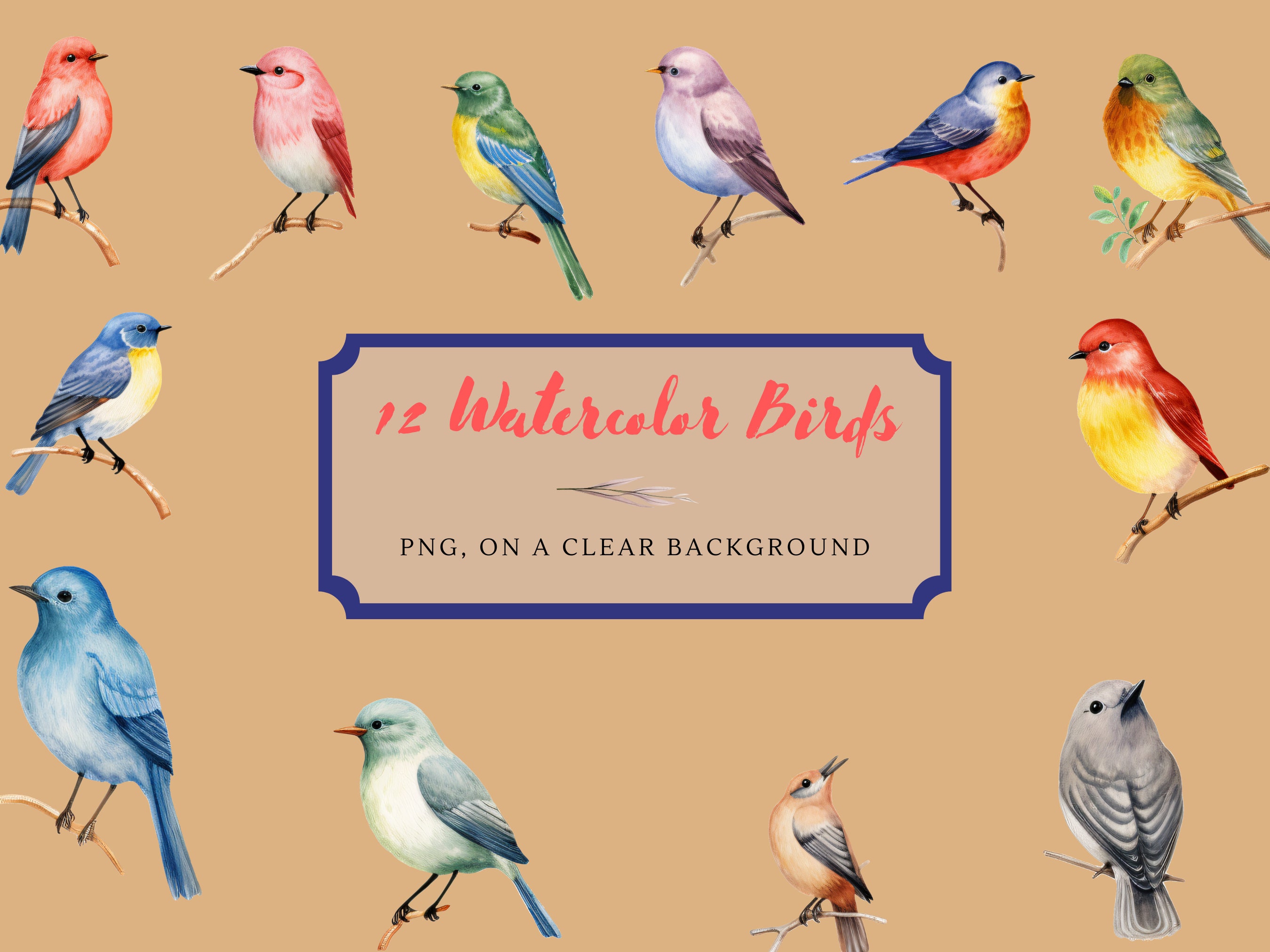 Watercolor Bird Clipart Set - 12 Hand-painted Bird Species, High ...