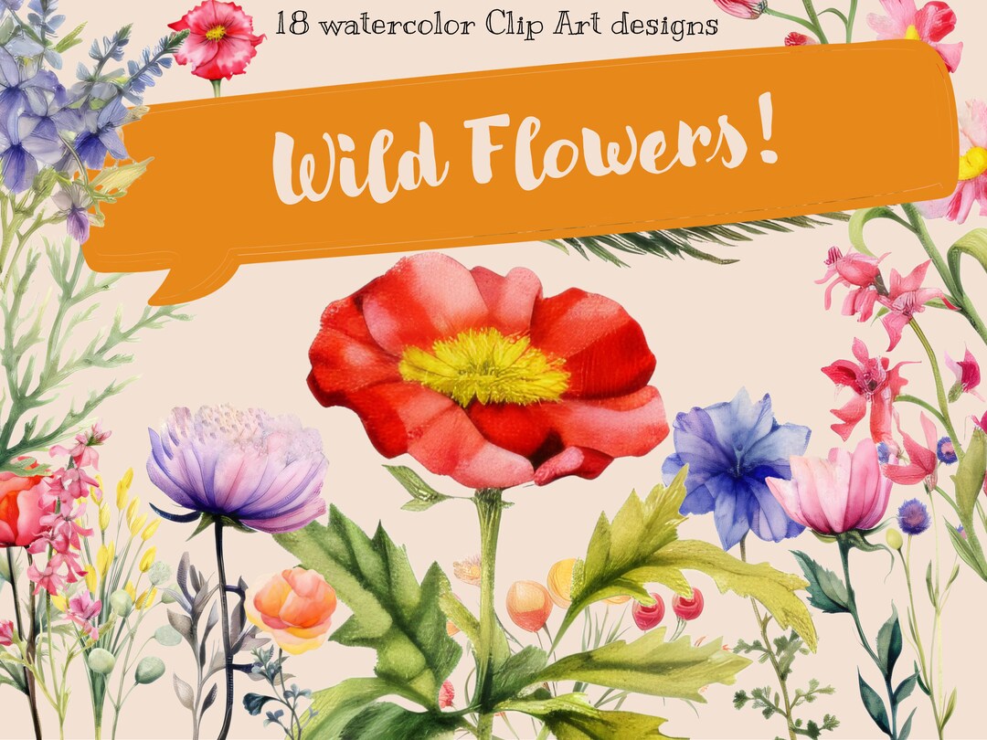 Wildflower Clipart Collection - 18 Hand-drawn Flowers, High-resolution ...