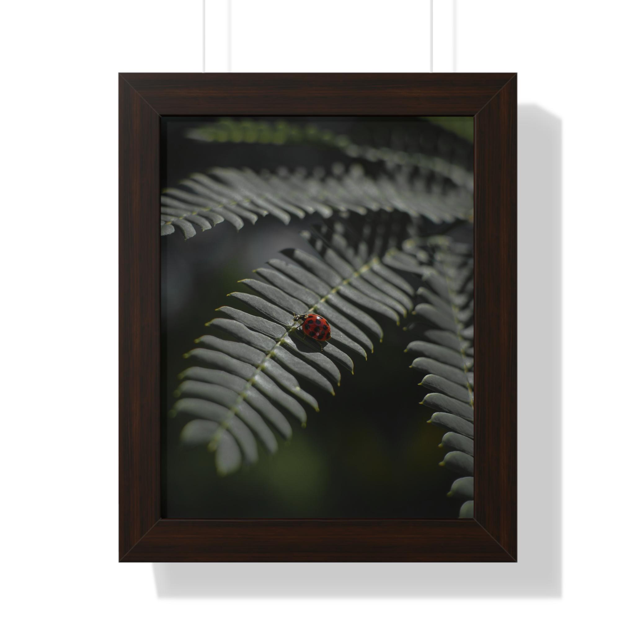 Framed Ladybug Poster - Etsy