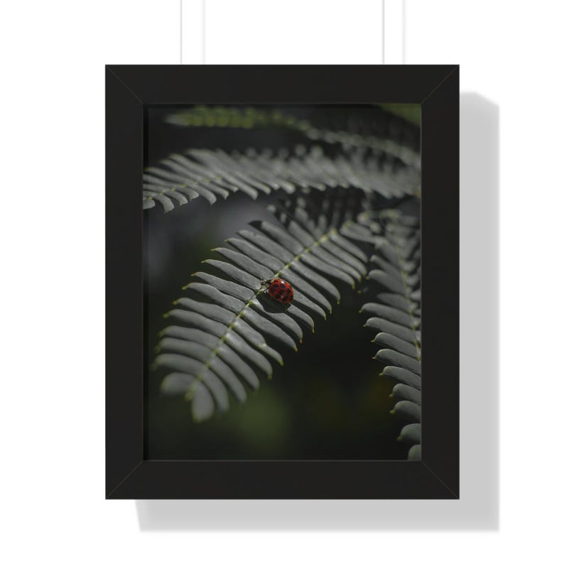 Framed Ladybug Poster - Etsy