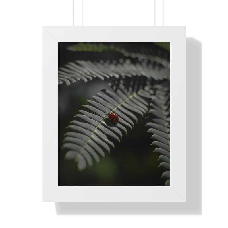 Framed Ladybug Poster - Etsy