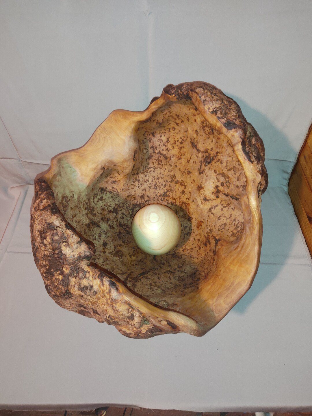Large Wood Burl Bowl Representing Sea Shell and a Perl - Etsy