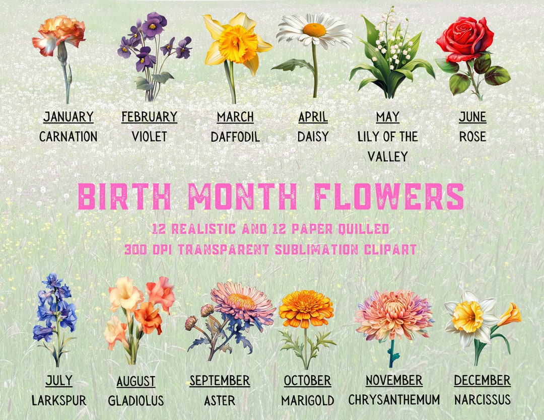 Birth Month Flowers Clipart, Floral PNG Bundle, DIY Birth Month Flower ...
