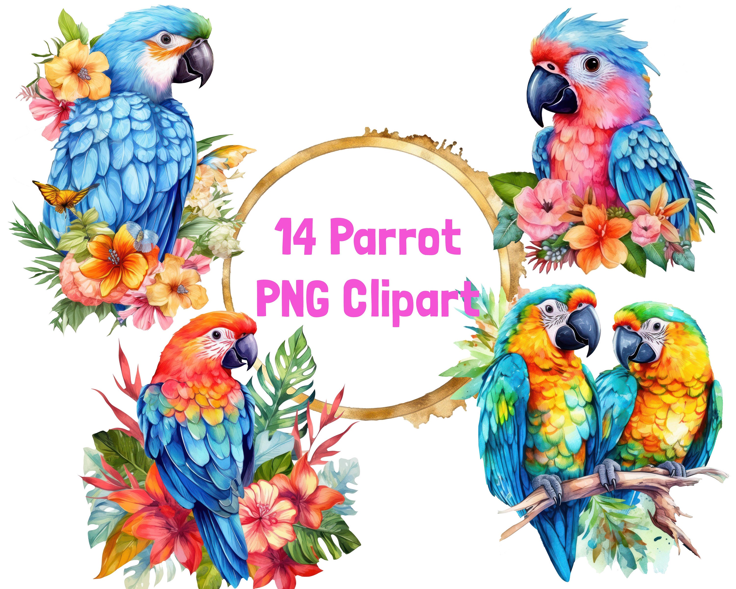 Parrot Clipart Watercolor Tropical Bird Clipart Digital Download for ...