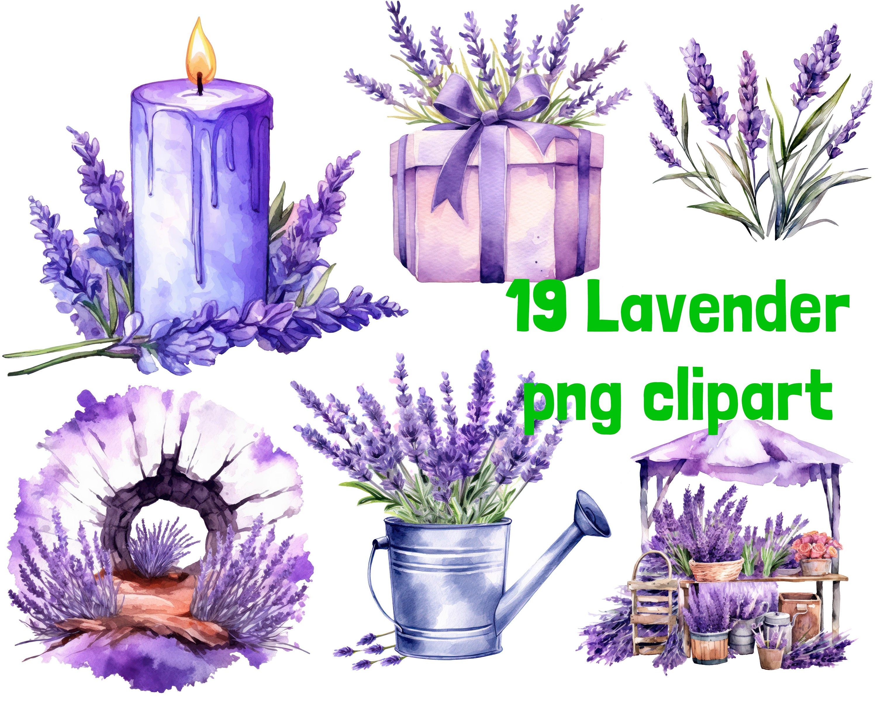 Lavender Clipart Watercolor Lavender Clipart Lavender Flower - Etsy