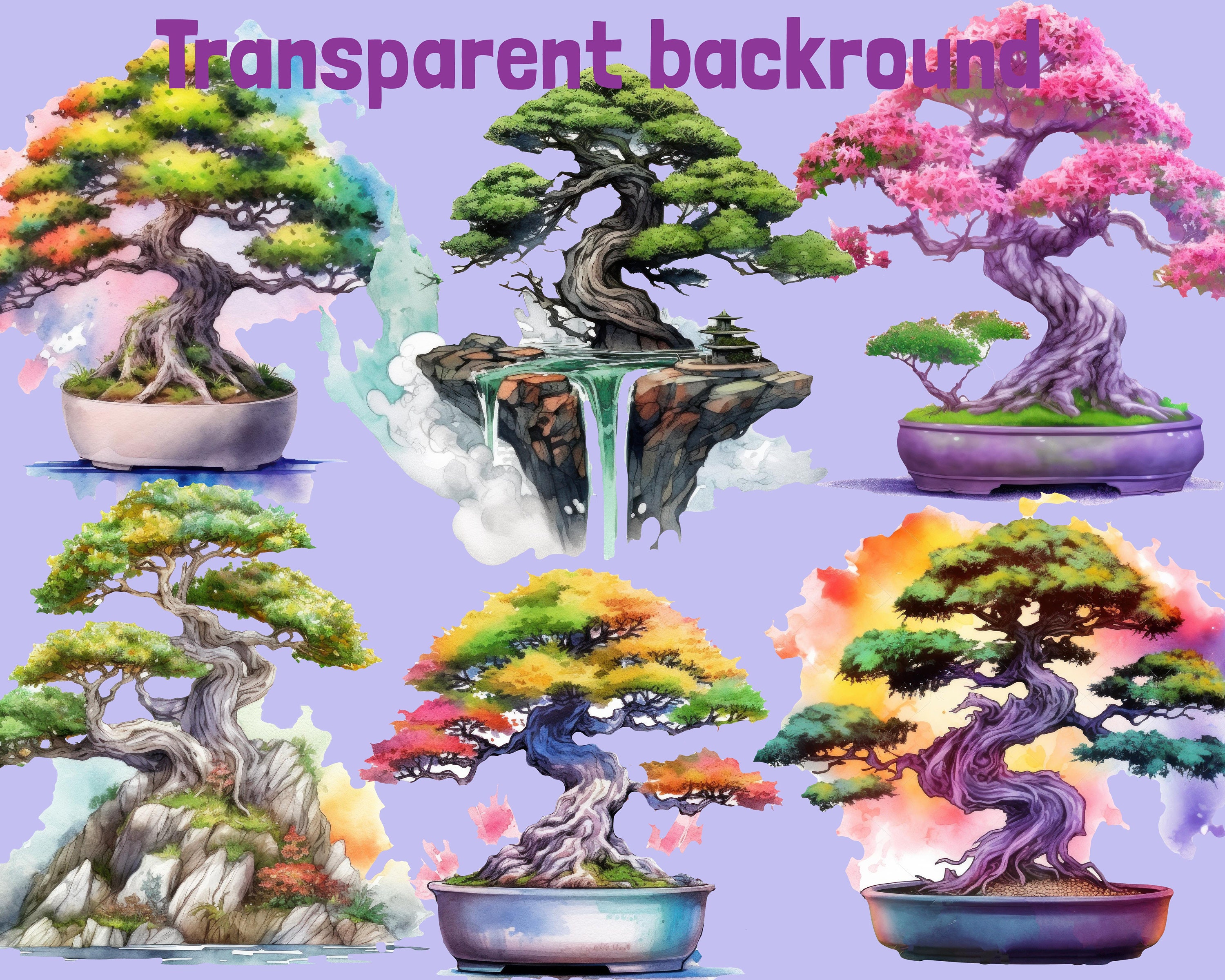 Bonsai Clipart, Bonsai Tree Png, Bonsai Tree Clipart, Ficus Bonsai ...