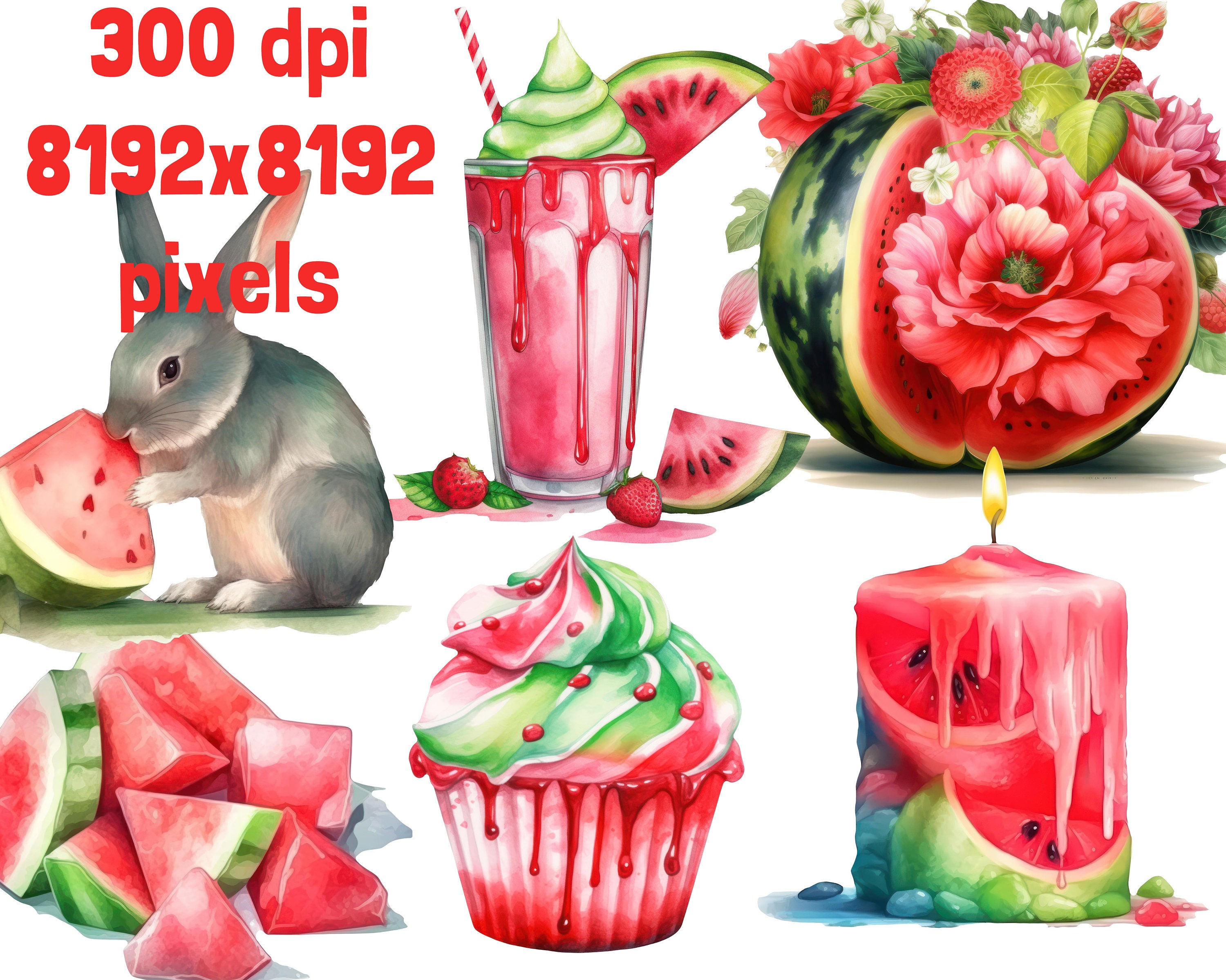 Watermelon Clipart, Summer Fruit Png, Watermelon Clipart Bundle ...