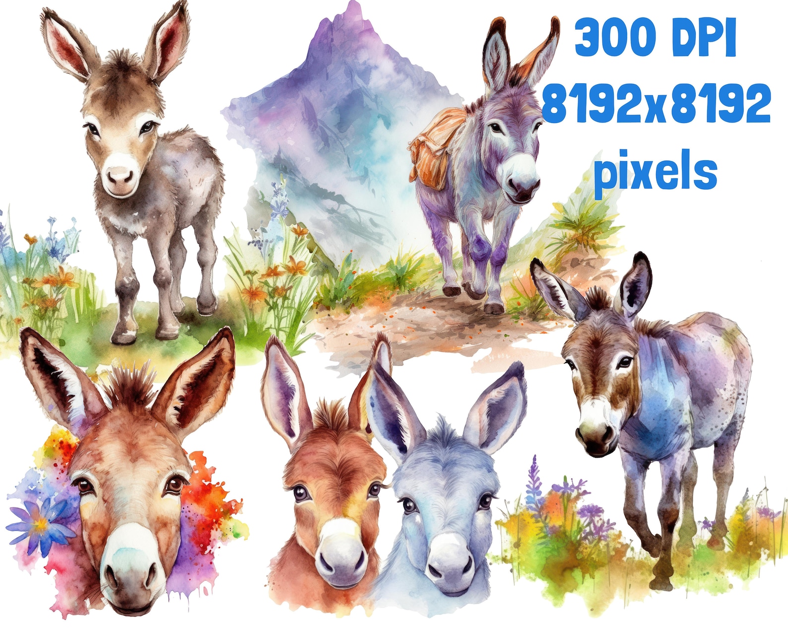 Donkey Clipart, Farm Donkey Png, Cute Donkey Clipart, Watercolor ...