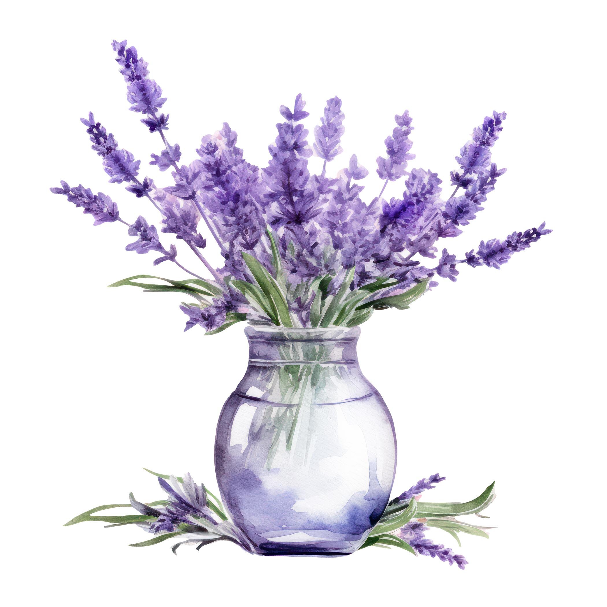 Lavender Clipart Watercolor Lavender Clipart Lavender Flower - Etsy