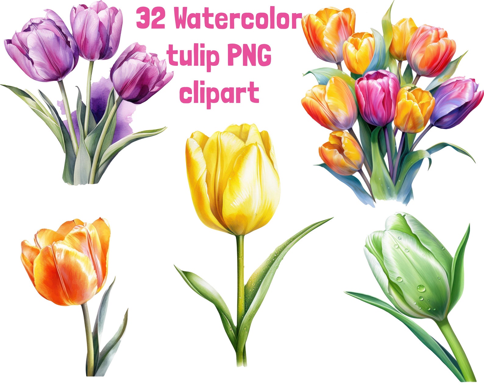 Watercolor Tulips Clipart, Flower Clipart Png, Floral Clipart ...
