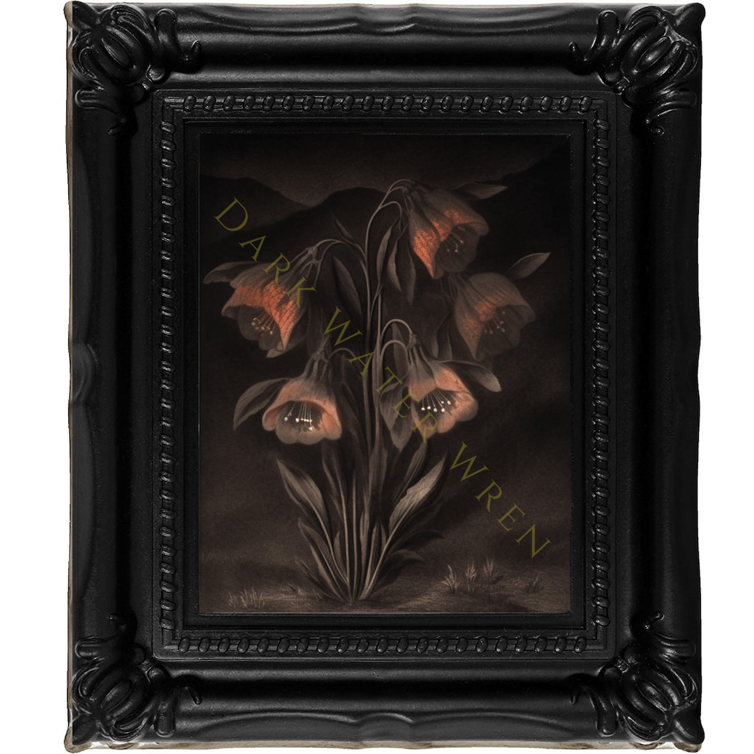 Vintage Poppies, Poppy Wall Art, Dark Floral Botanical, Gothic, Moody ...
