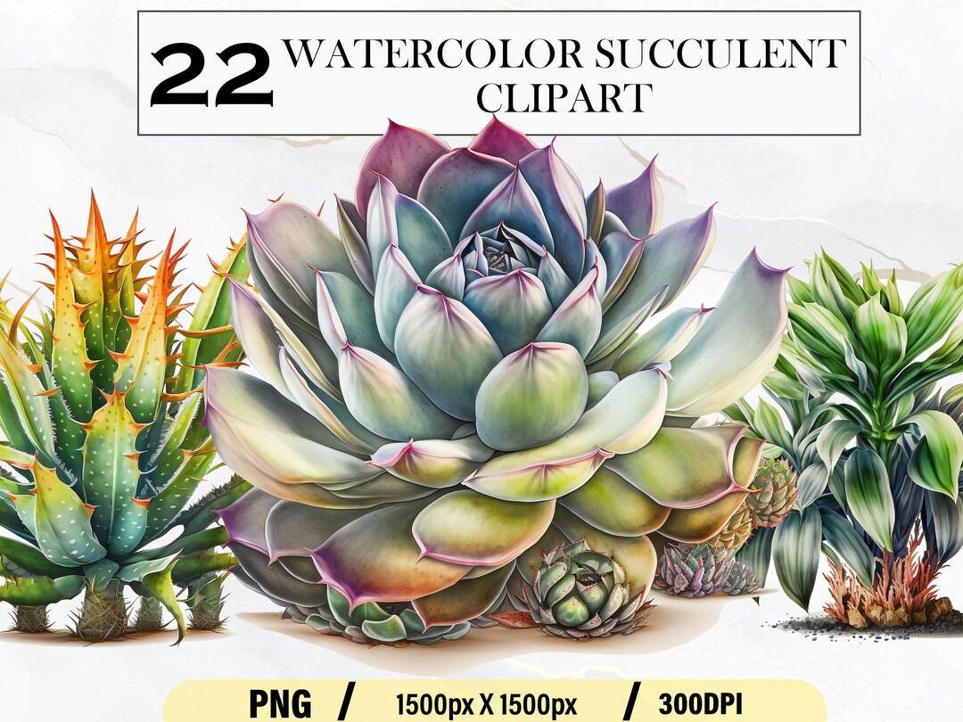 Watercolor Succulent Plant Clipart, Beautiful Houseplants Png ...