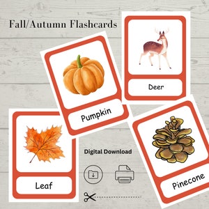 Printable Fall Flashcards, Autumn Vocabulary (PDF Pattern) - Etsy