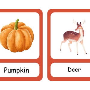 Printable Fall Flashcards, Autumn Vocabulary (PDF Pattern) - Etsy