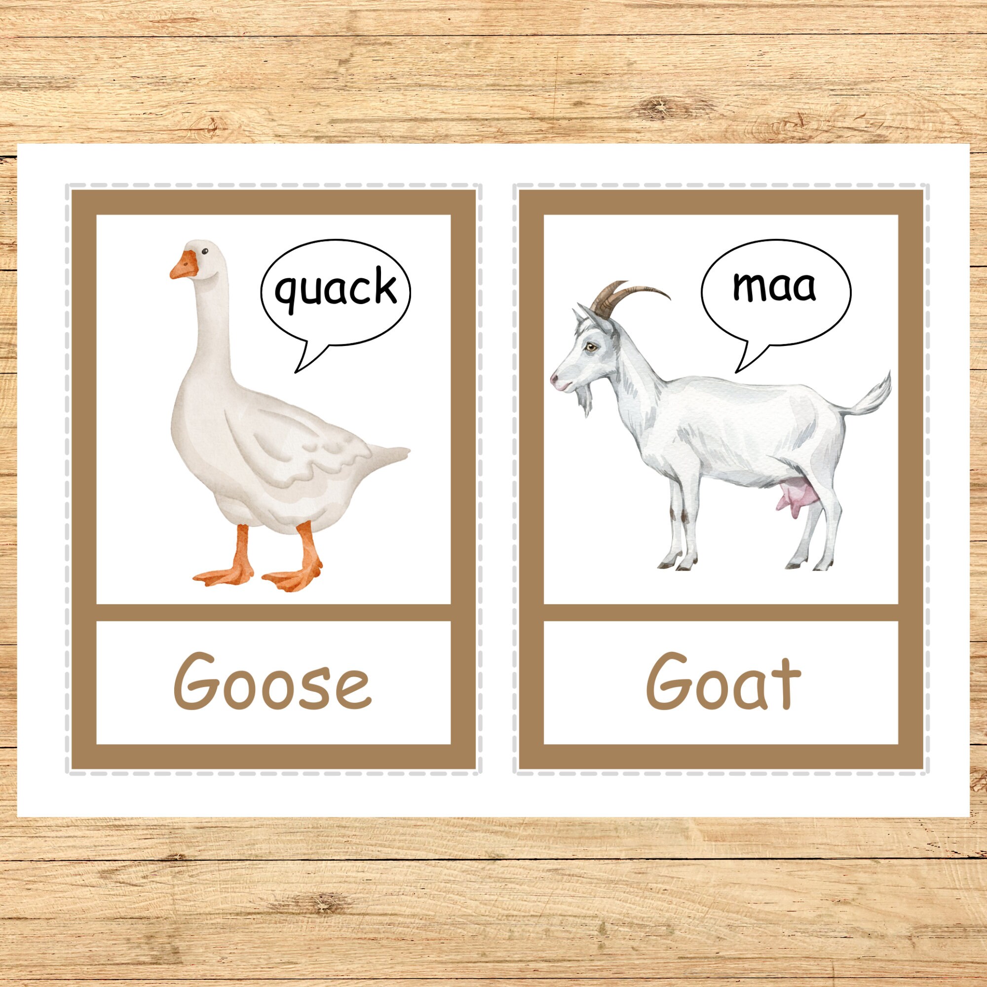 Animals and Their Sounds Flashcards - Learning the Animal Names and ...
