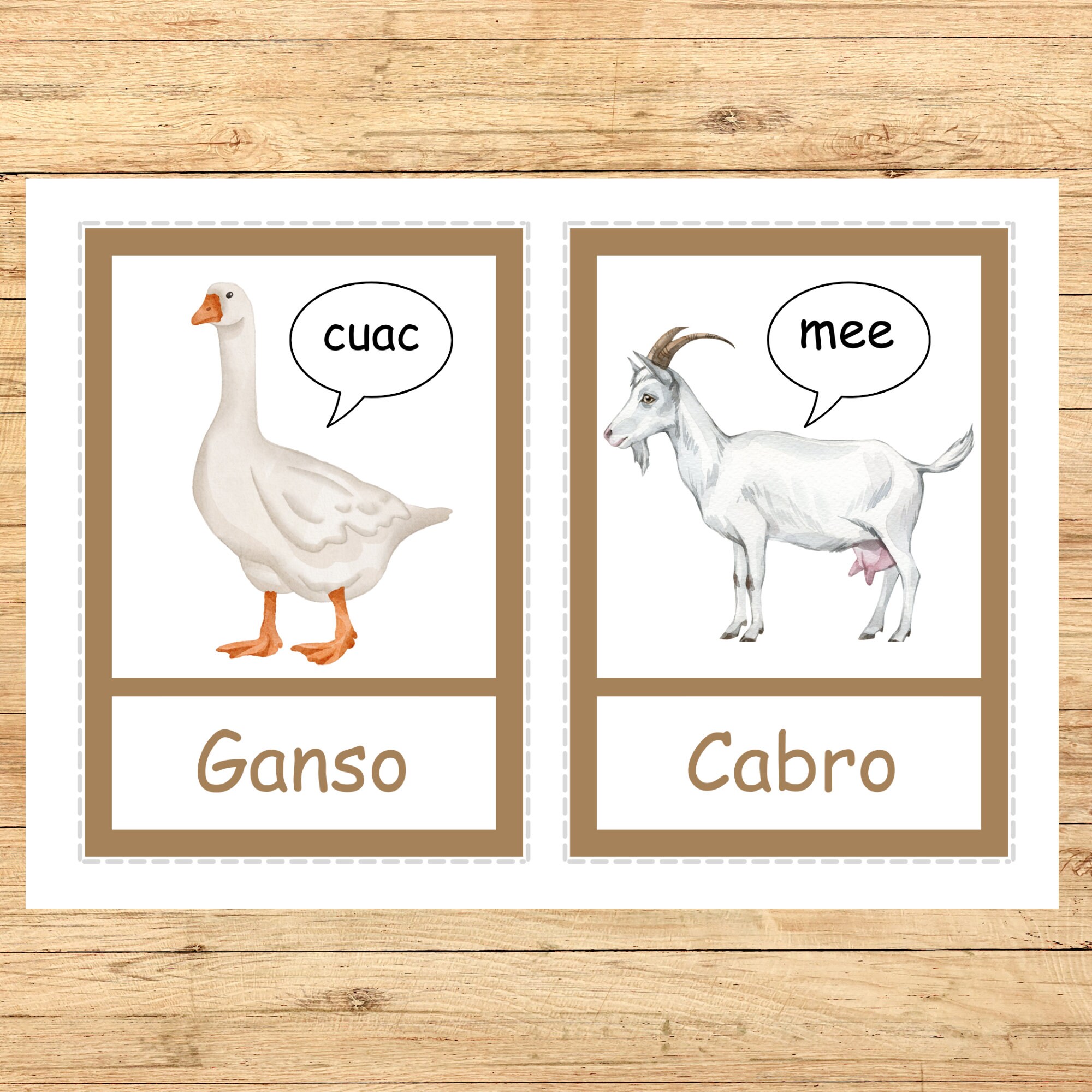 Spanish Animals Names and Their Sounds Flashcards Animal - Etsy