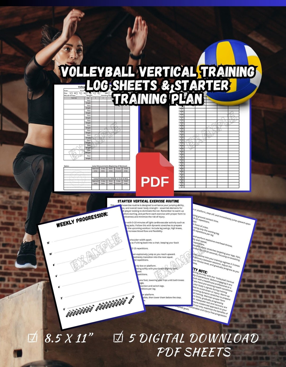 Volleyball Vertical Training Workout Log Sheets and Starter Vertical ...
