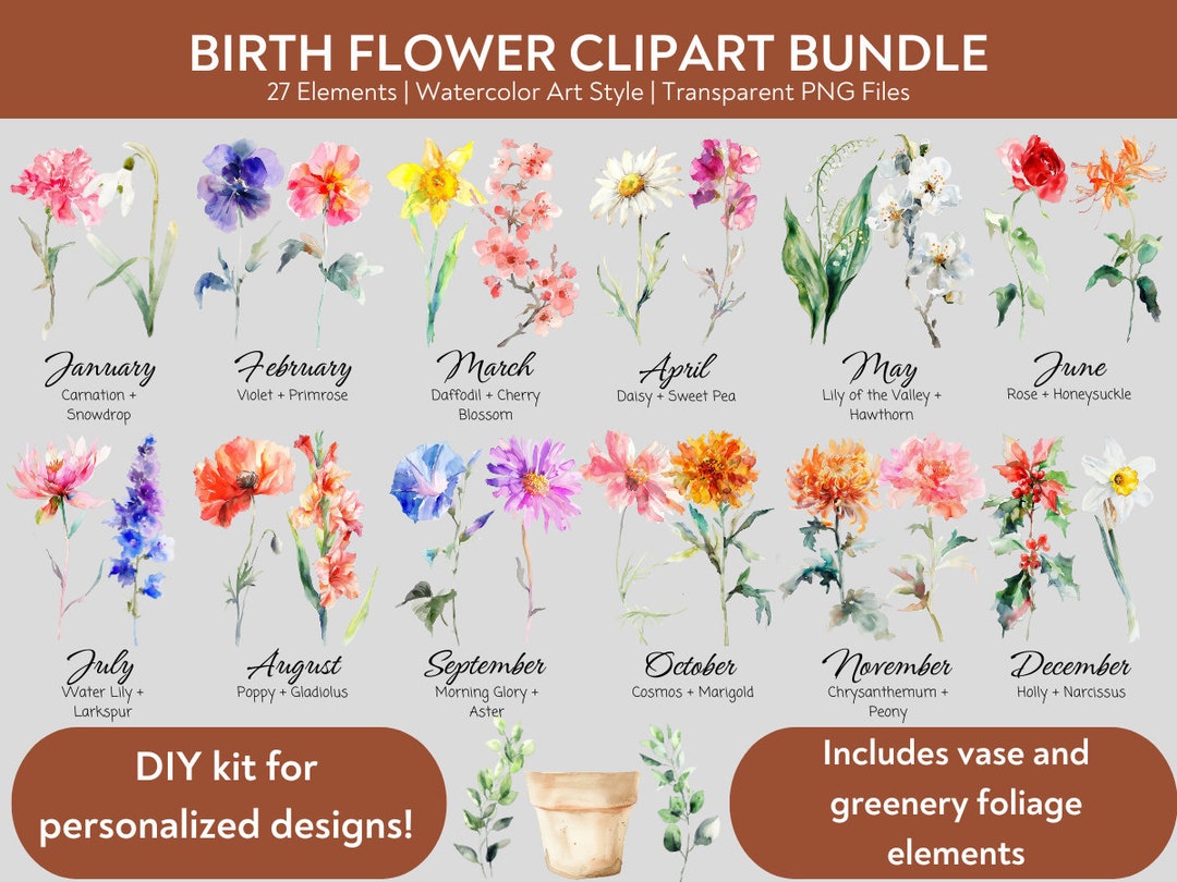 Birth Month Flowers Clipart Bundle, Watercolor Birth Flower PNG Bundle ...
