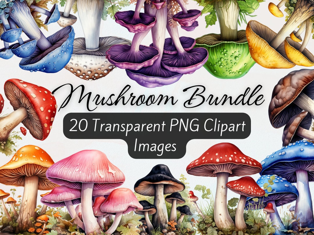 Watercolor Mushroom Clipart, Mushrooms PNG Clipart Bundle, Watercolor ...