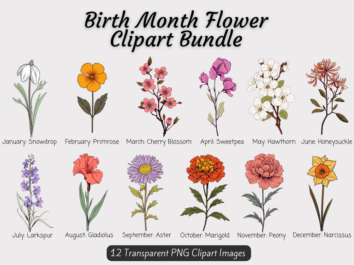 Monthly Flower PNG Bundle, Birth Flower Clipart Bundle, DIY Birth Month ...