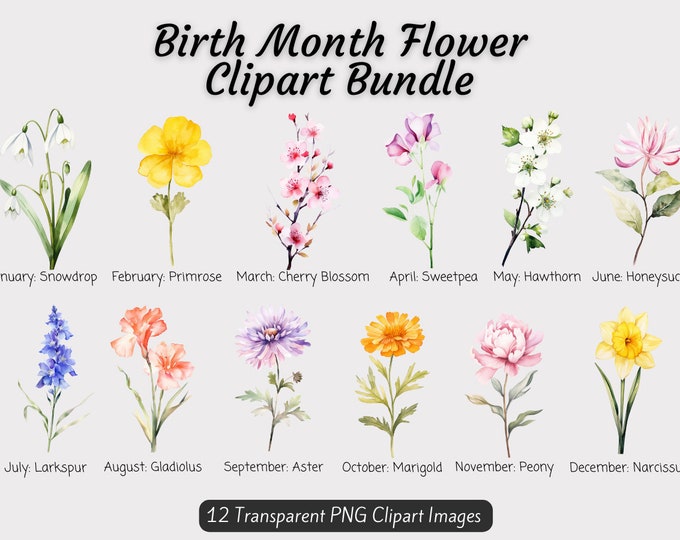January Birth Flower Clipart, Watercolor Carnation Bouquet, Snowdrop ...