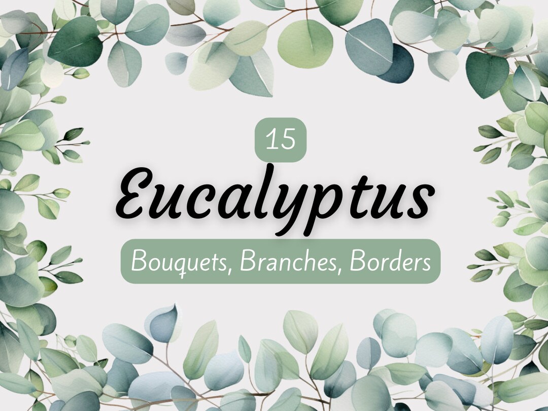 Eucalyptus Clipart Bundle, Watercolor Greenery Botanical Bundle ...