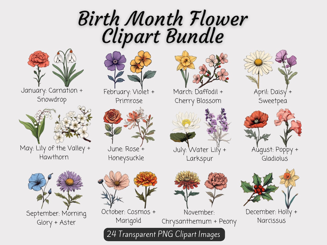 Birth Month Flowers Clipart Bundle, Birth Flower PNG Bundle, DIY Birth ...
