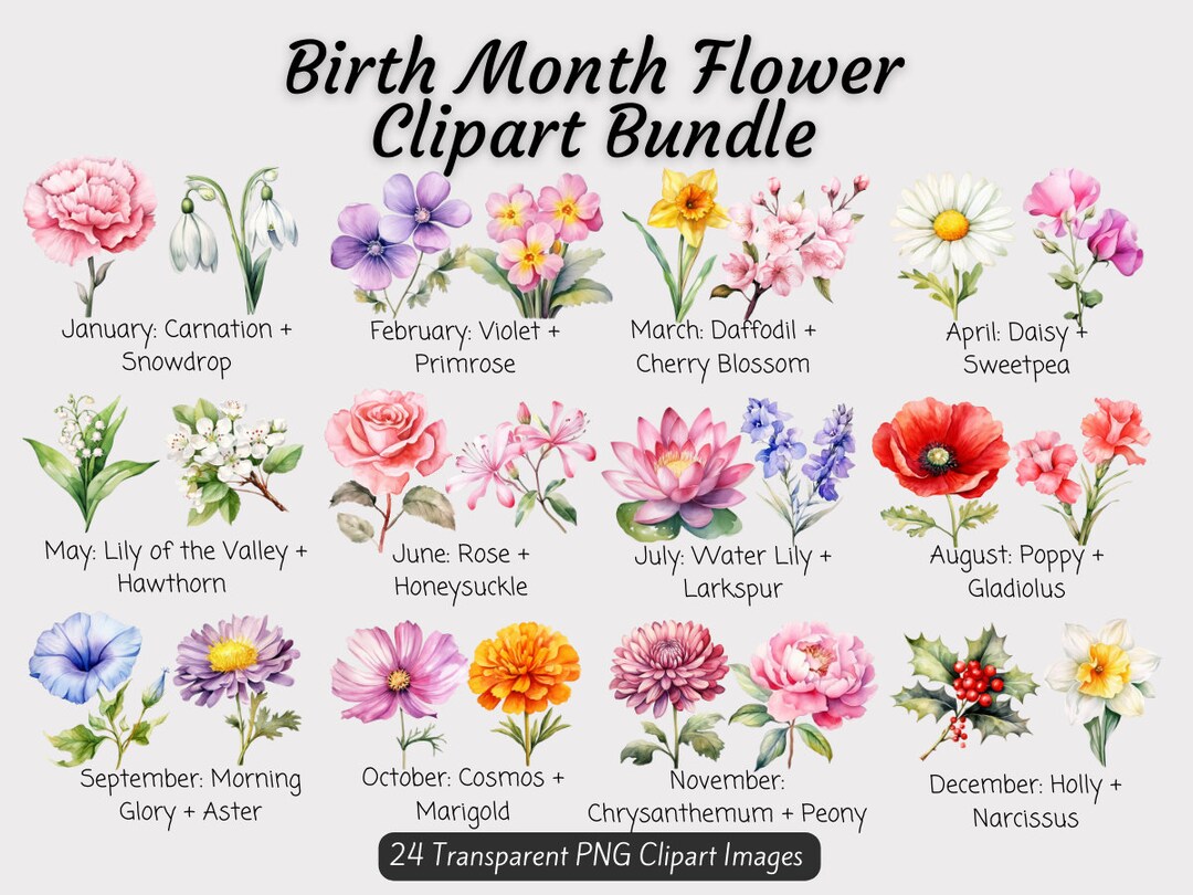 Monthly Flower PNG Bundle, Birth Month Flowers Clipart Bundle, DIY ...