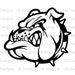 Bold Bulldog Mascot Logo Professional Sports Team Emblem High ...