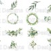 16 Greenery Svg & Png Greenery Bundle Svg Flower Svg Shower Greenery ...
