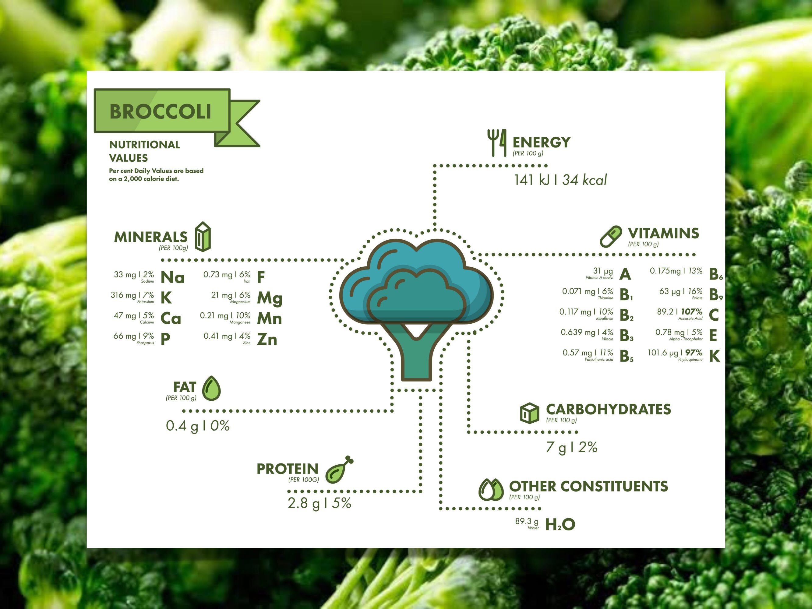 Nutrition Facts Vegan Infographic, Adult Healthy Eating Poster, Basic ...