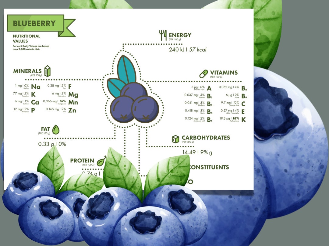 Nutrition Facts Vegan Infographic, Adult Healthy Eating Poster, Basic ...